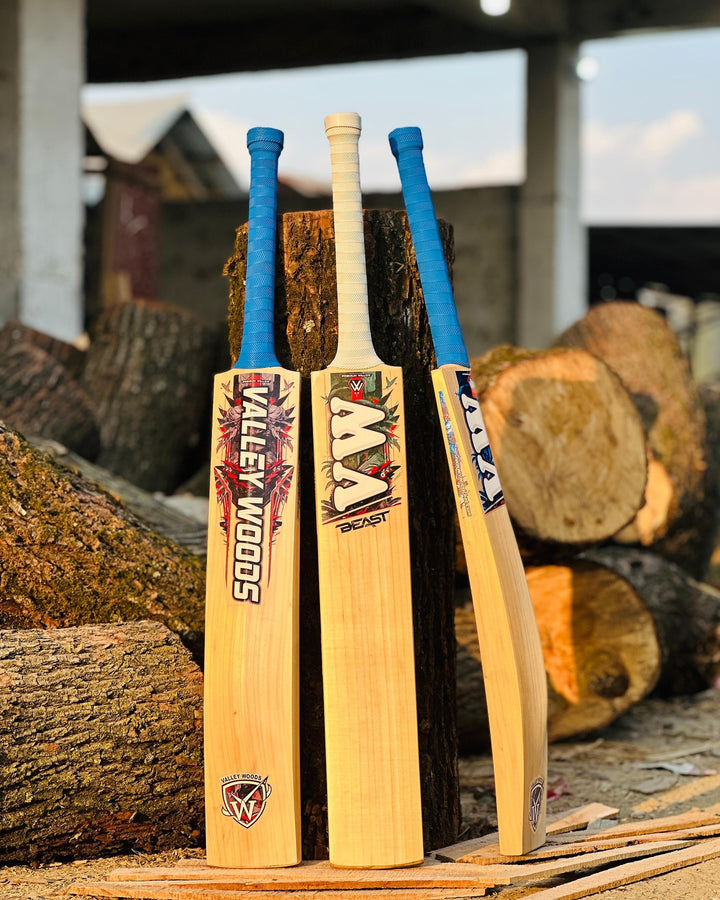 Kashmir willow pro leather bats – Made in Kashmir