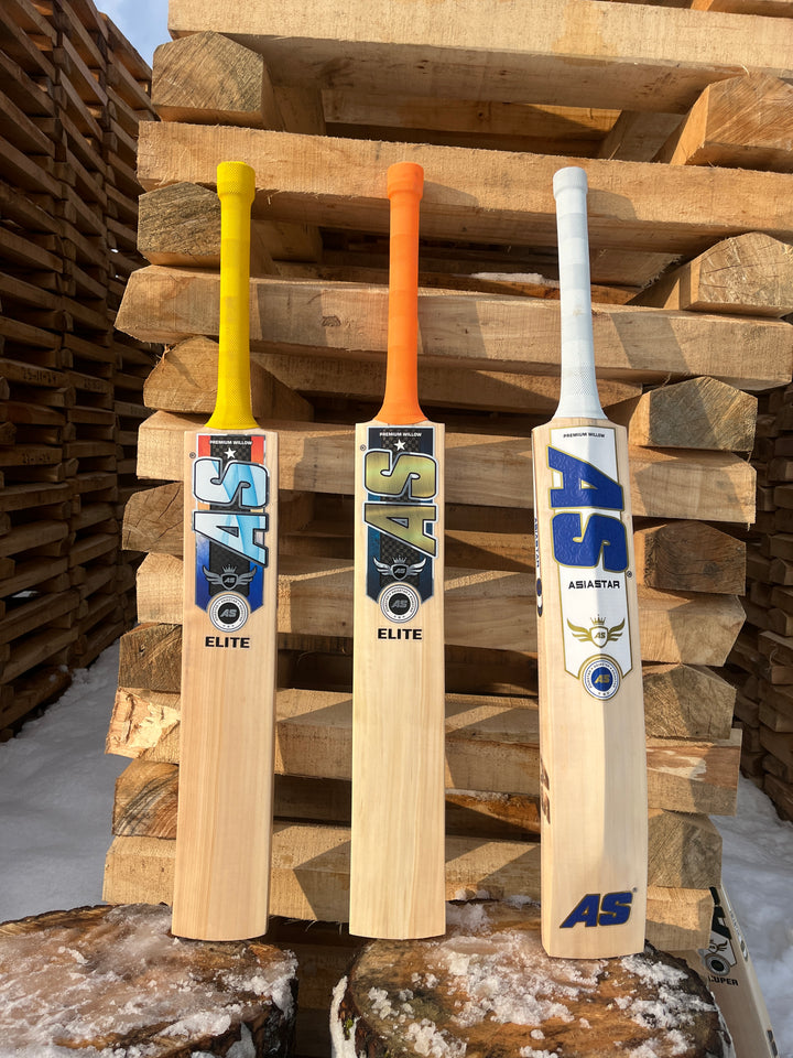 Kashmir willow pro leather bats – Made in Kashmir