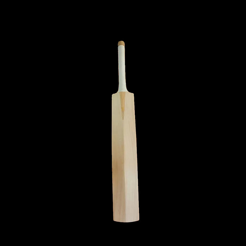 ICC Ban Kashmir Willow Cricket Bat | Shop by Grades | Ready to Play ...