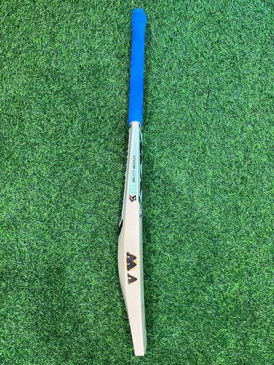 Kashmir willow pro leather bats – Made in Kashmir